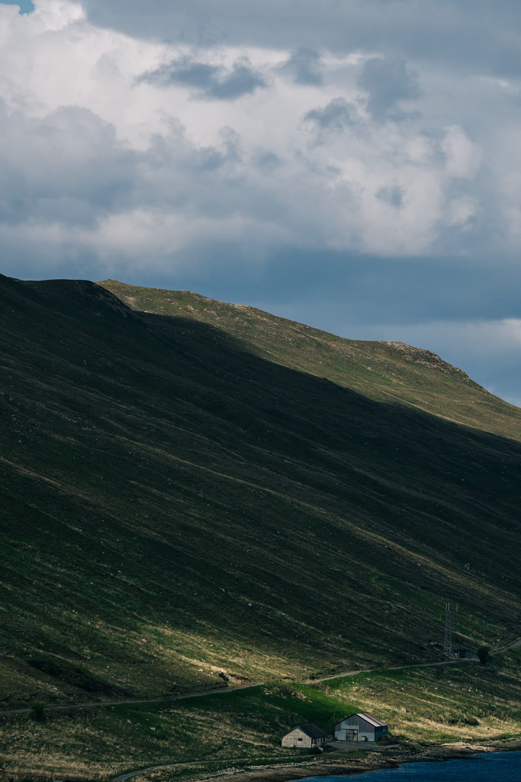 Kyle | Scotland - Adam Katz Sinding