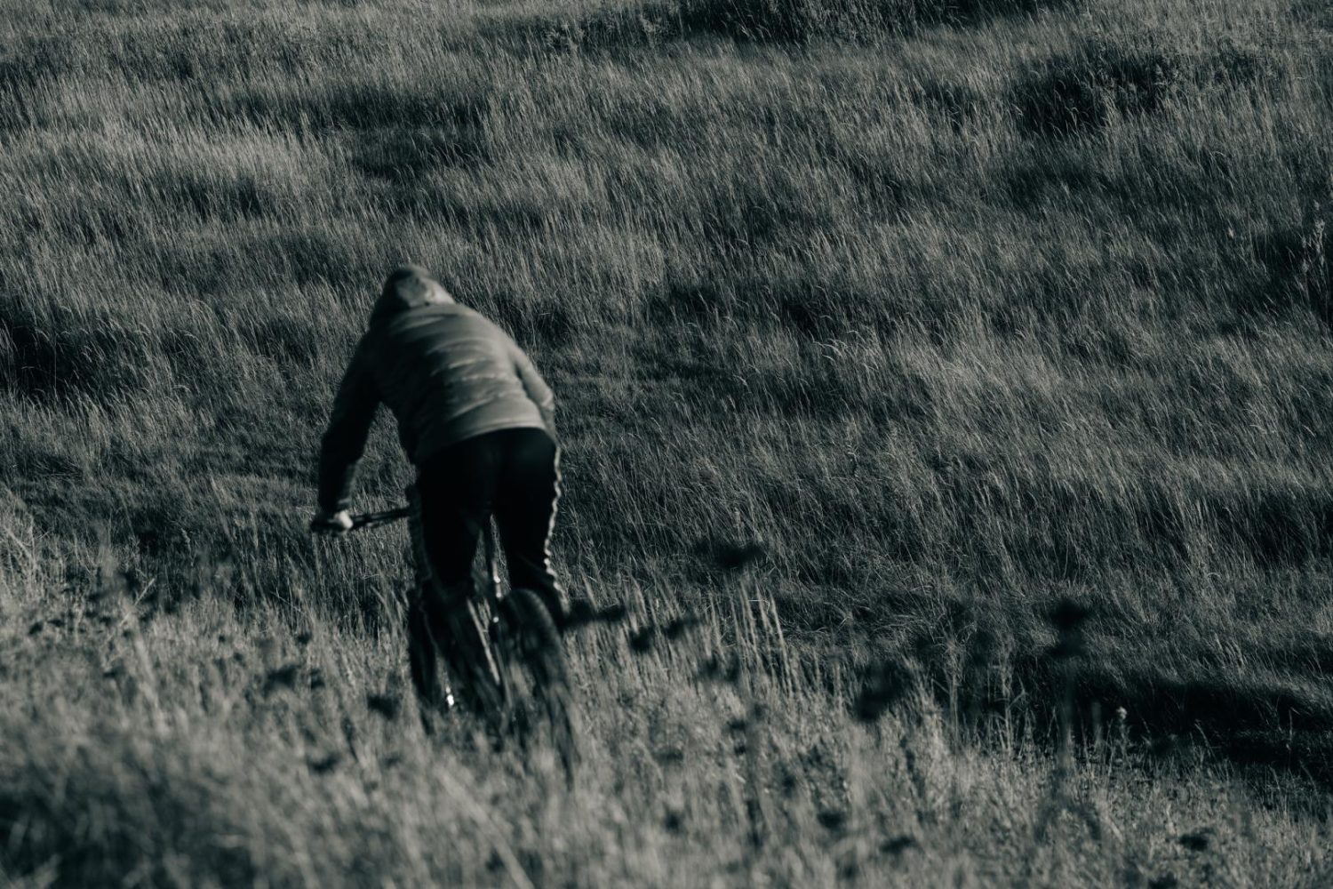 Archive - Adam Katz Sinding