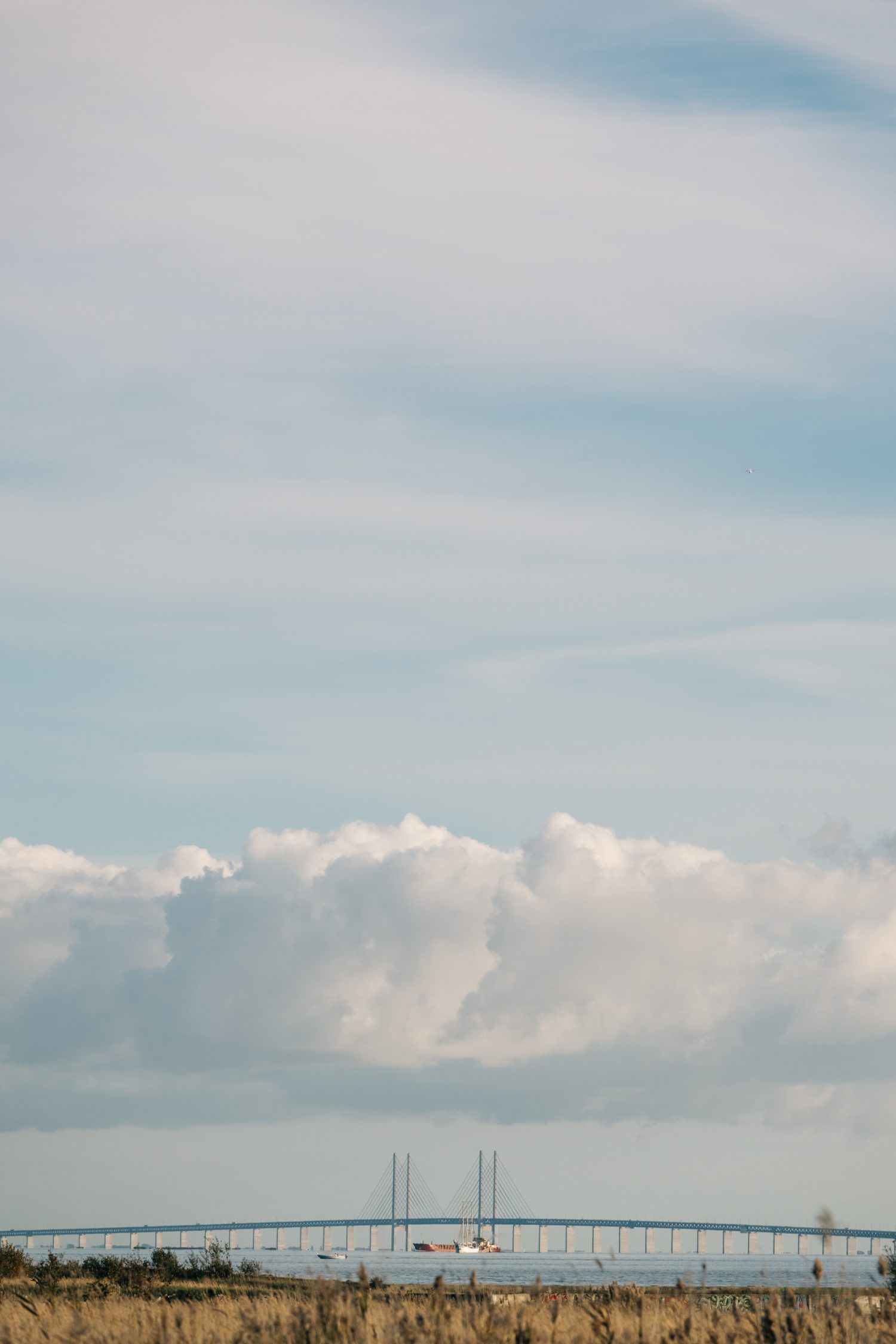 Archive - Adam Katz Sinding