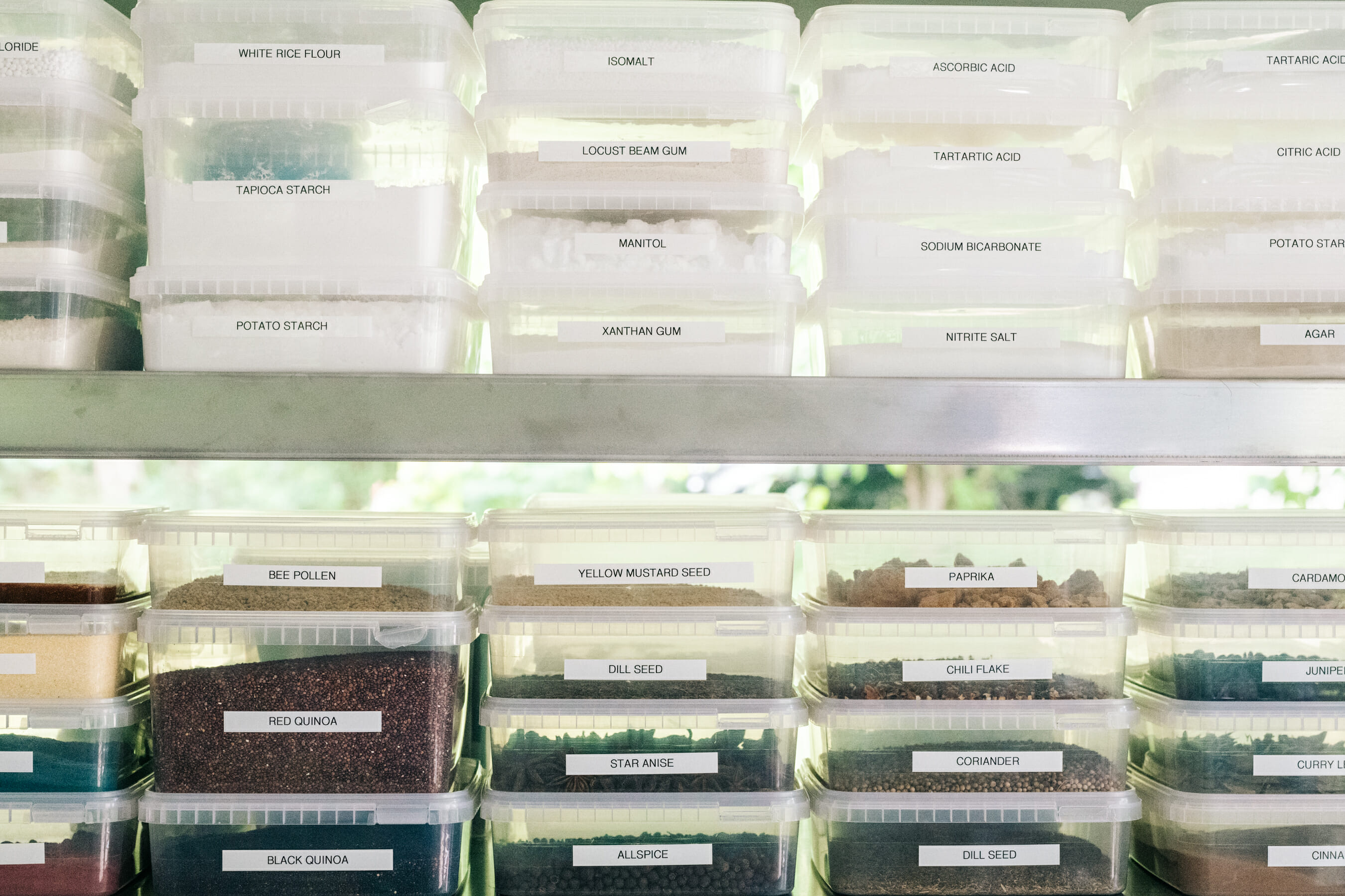 David Zilber - Adam Katz Sinding