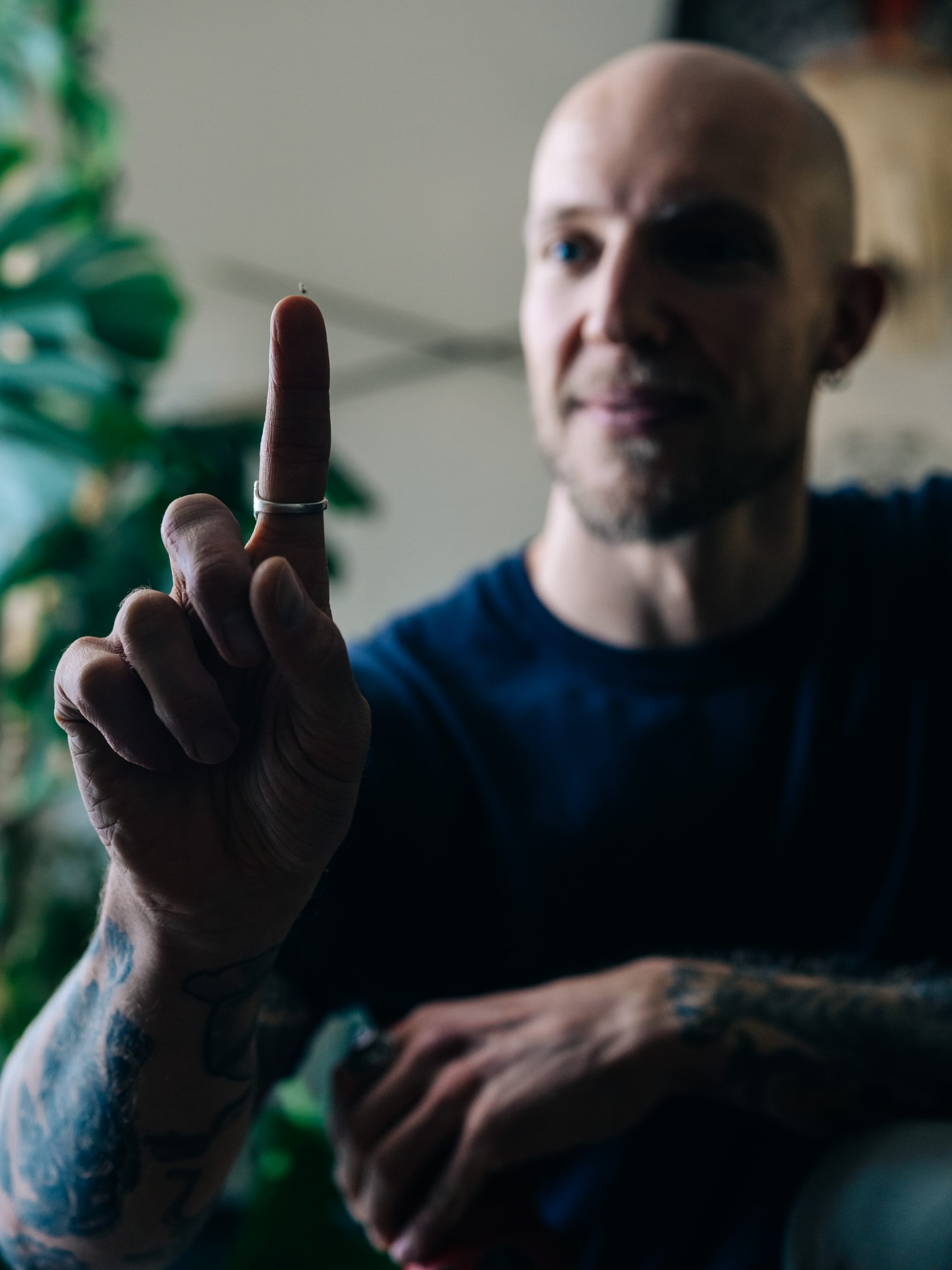 Peter Anderson - Adam Katz Sinding