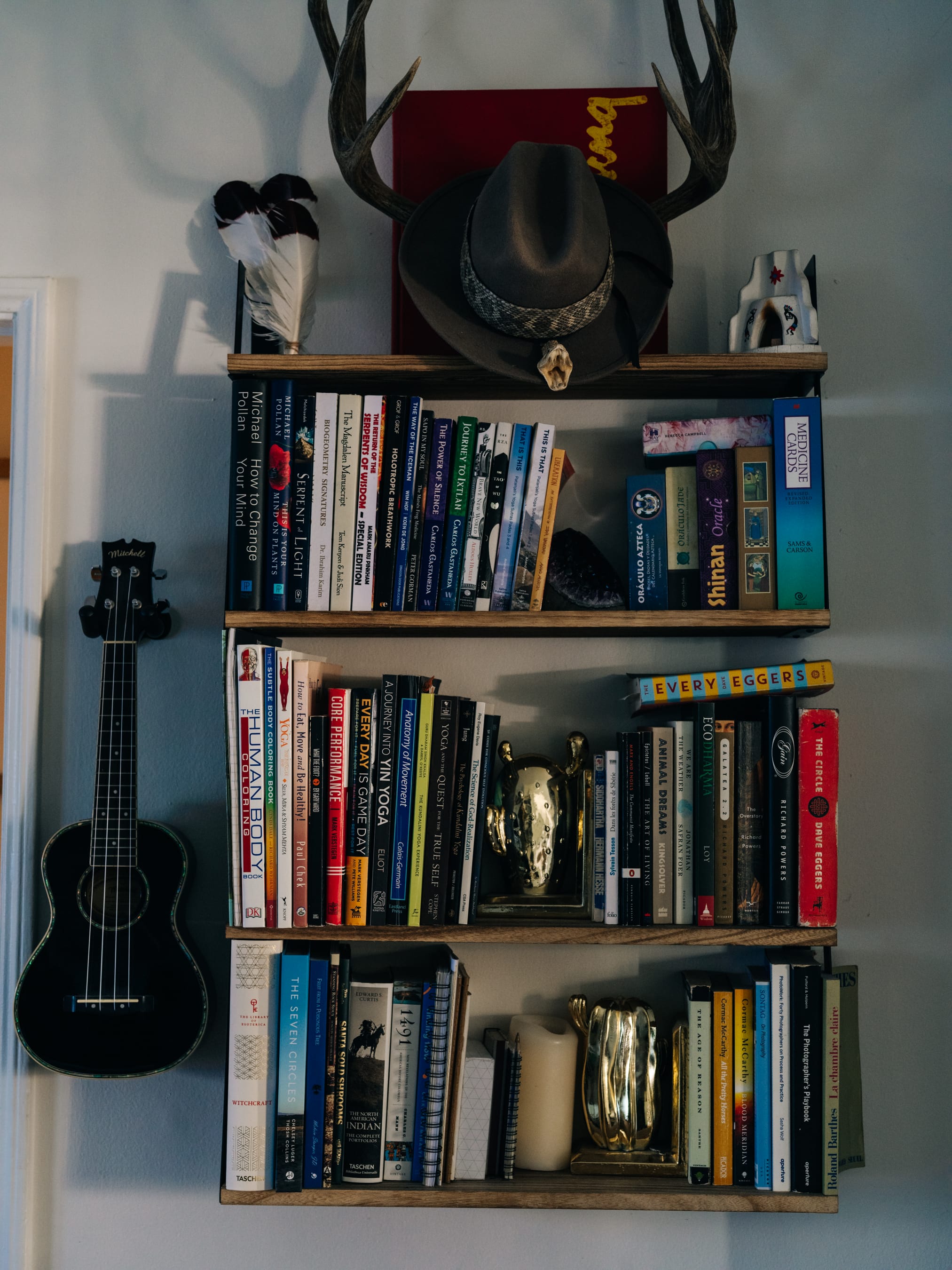 Peter Anderson - Adam Katz Sinding