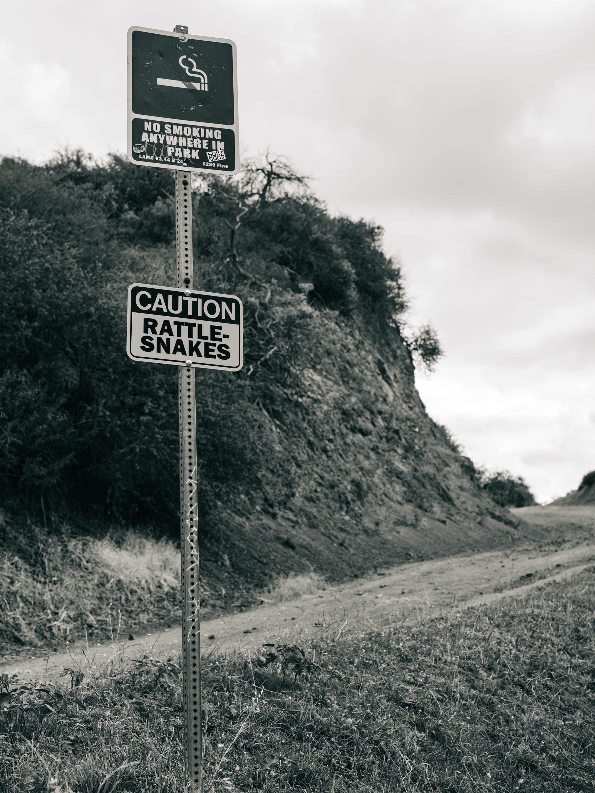 Peter Anderson - Adam Katz Sinding