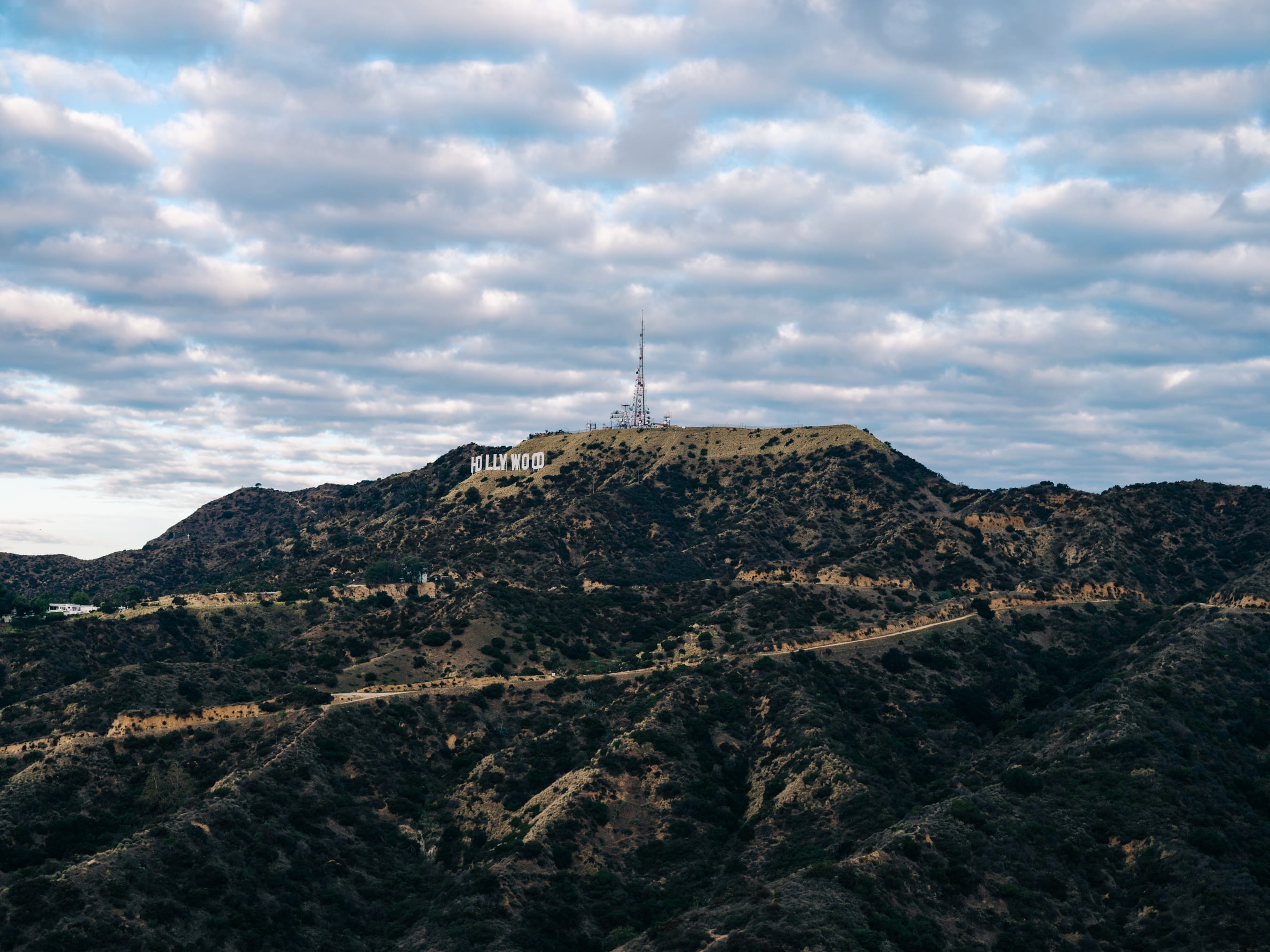 Peter Anderson - Adam Katz Sinding
