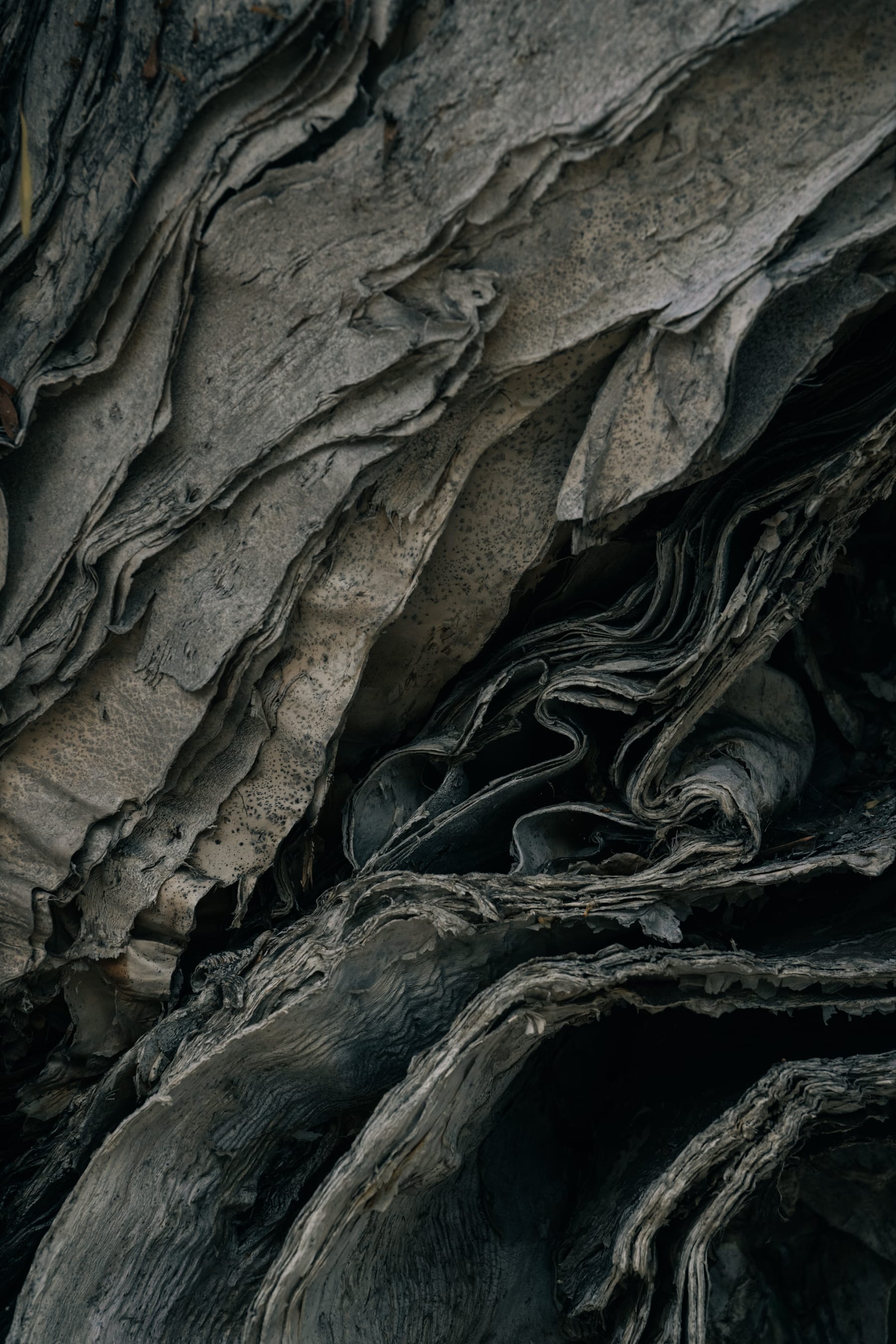 Peter Anderson - Adam Katz Sinding