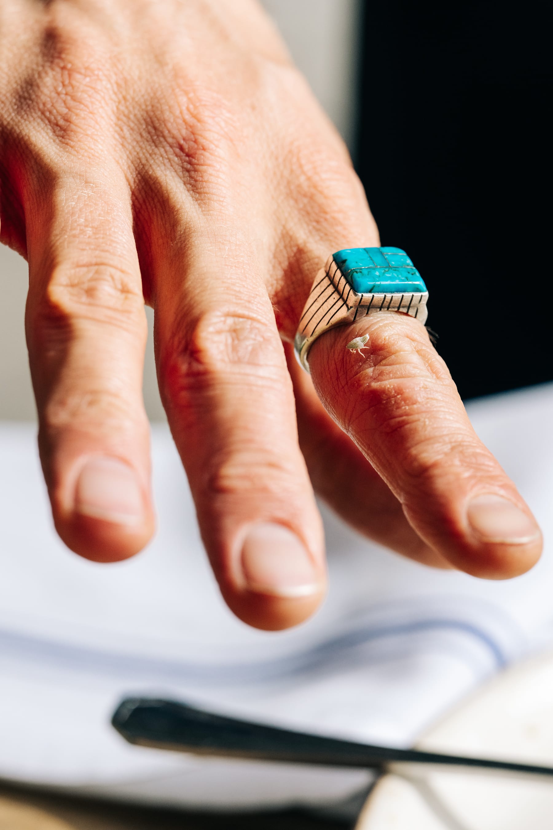 Peter Anderson - Adam Katz Sinding