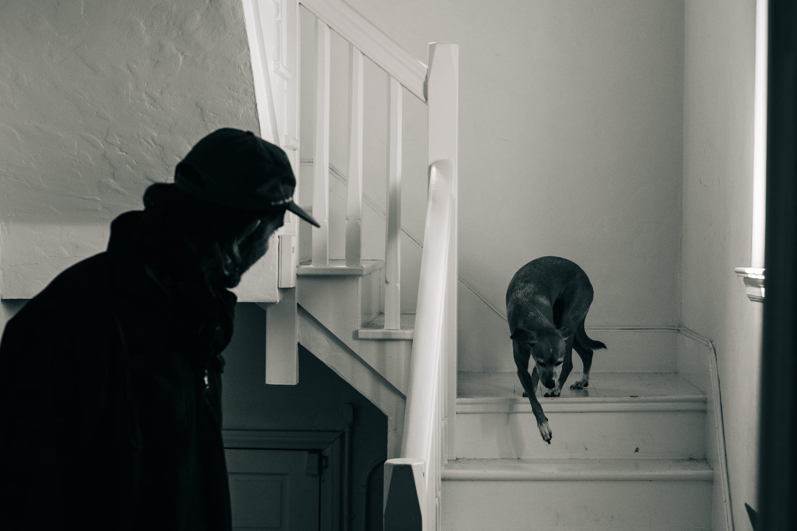 Ariel Stark-Benz - Adam Katz Sinding