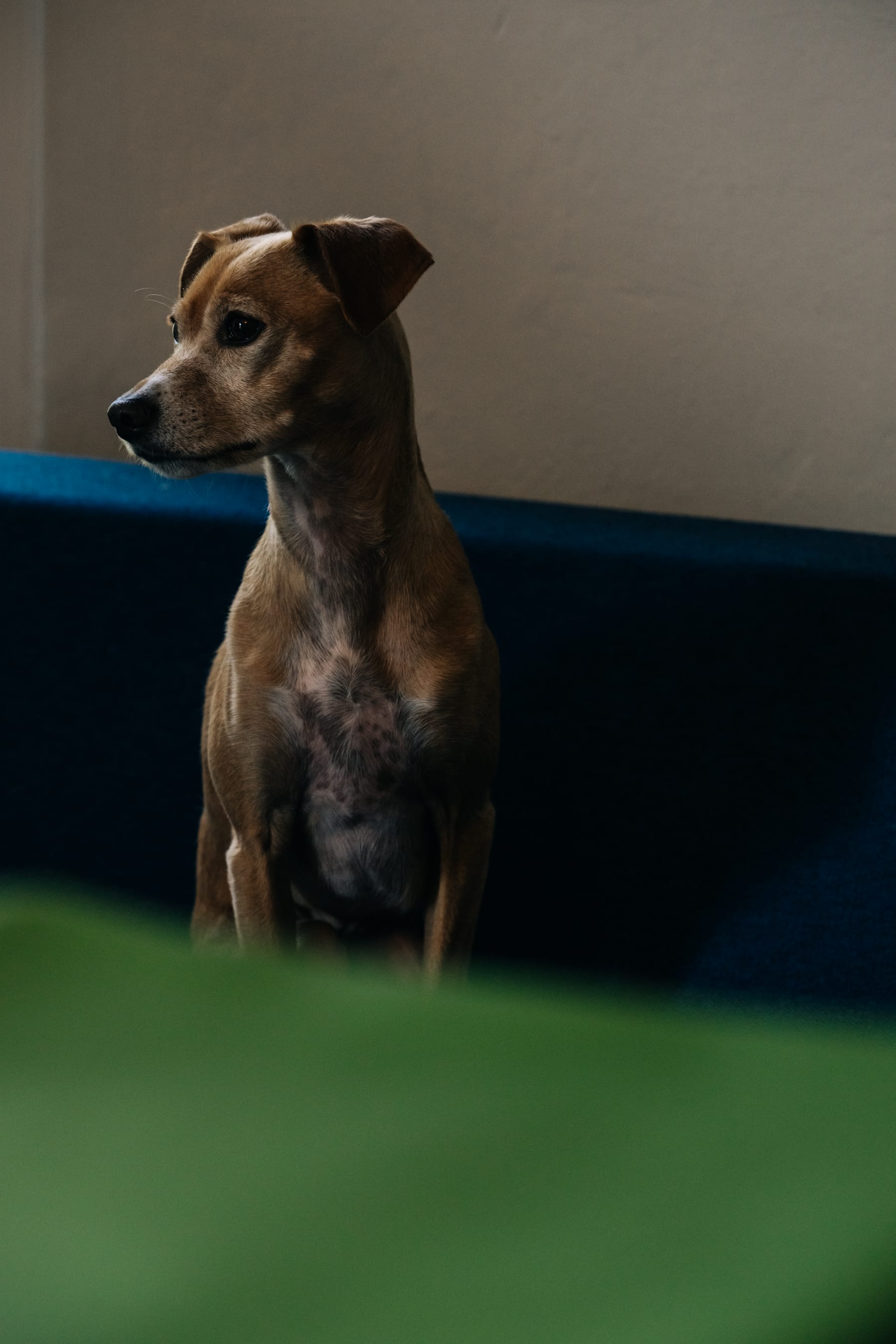 Ariel Stark-Benz - Adam Katz Sinding