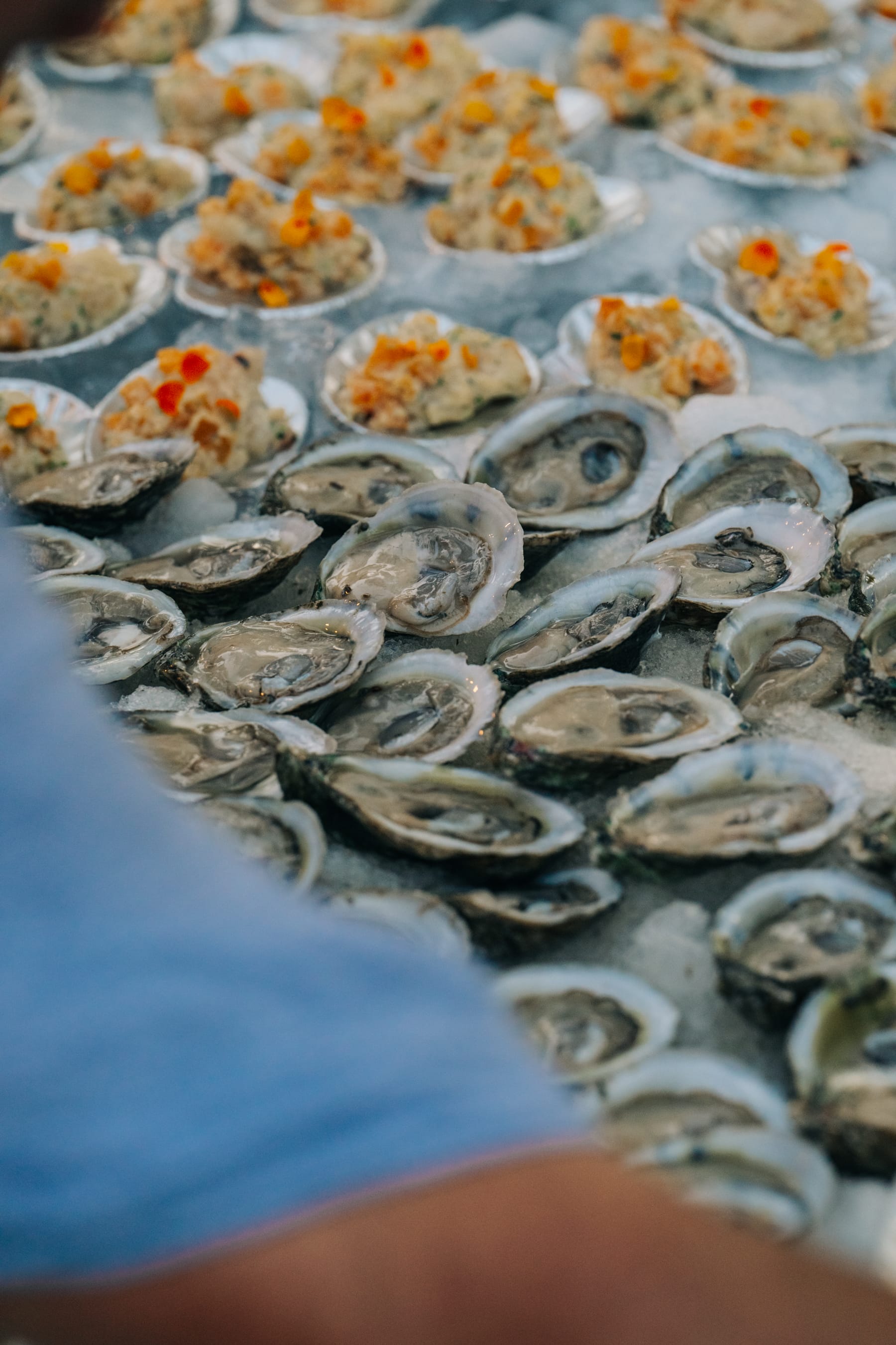Shindig Revival | Florence - Adam Katz Sinding