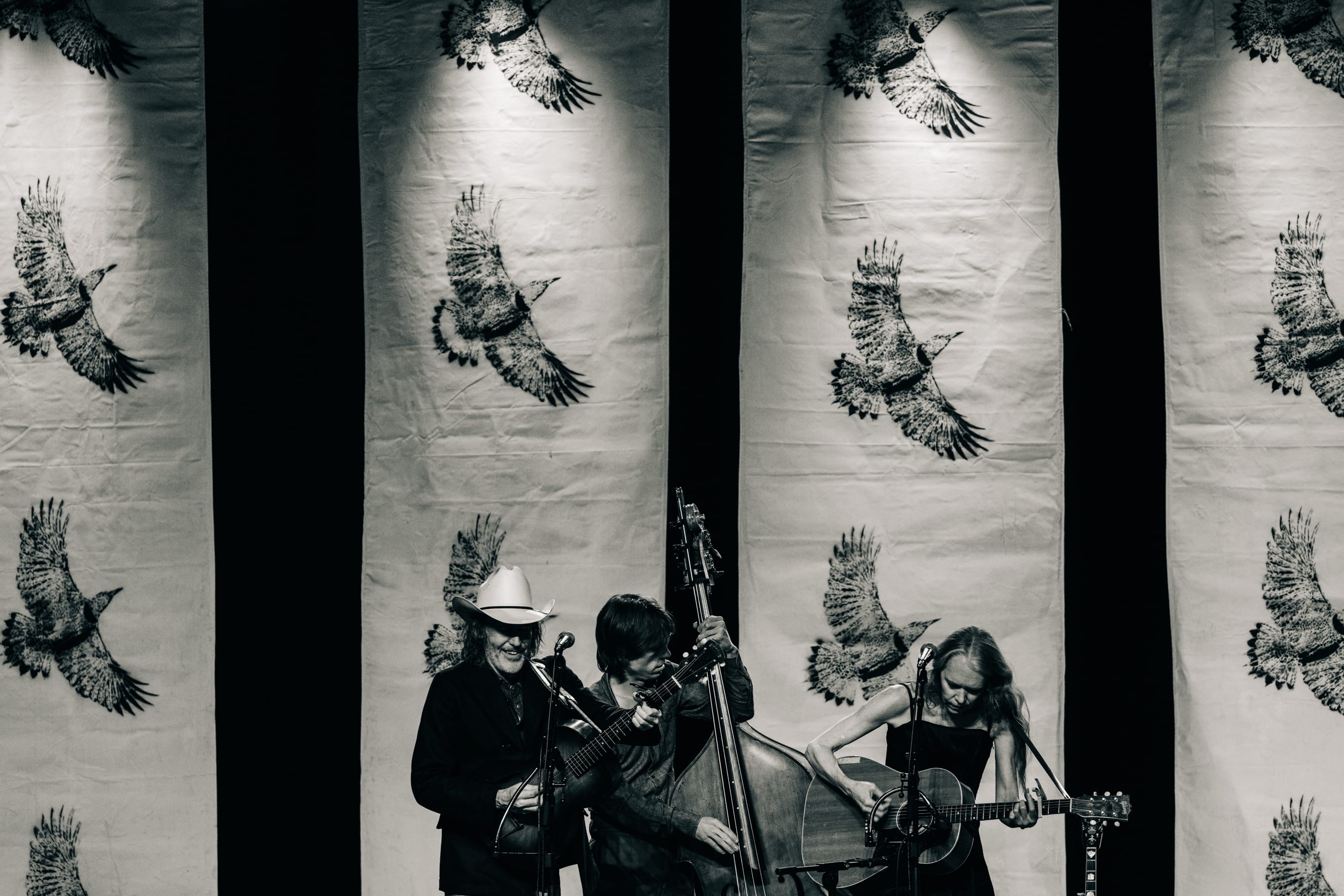 Shindig Revival | Florence - Adam Katz Sinding
